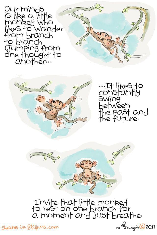 The monkey mind - Imagenation
